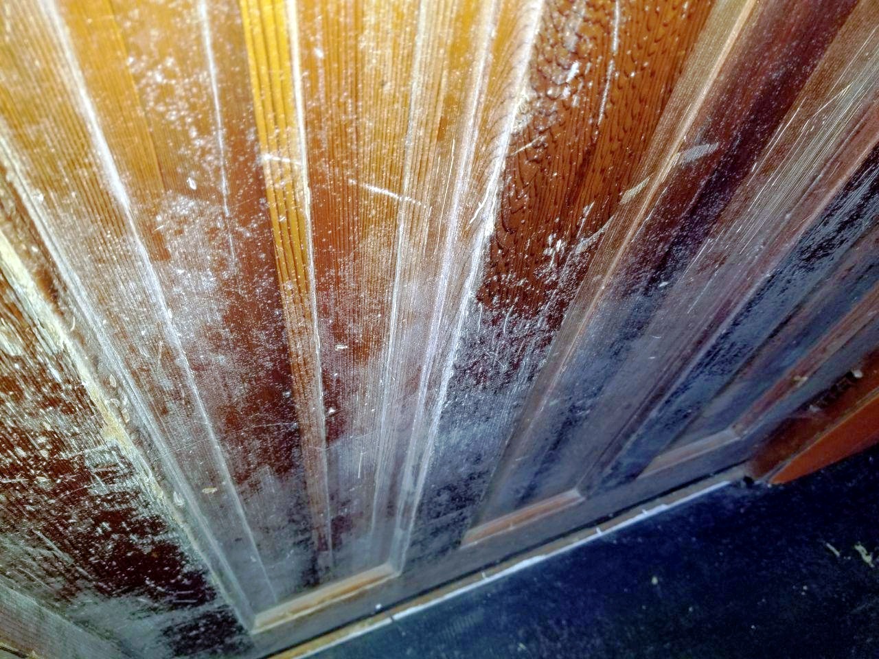 Where Does Mold Grow? - MoldInspection.ca