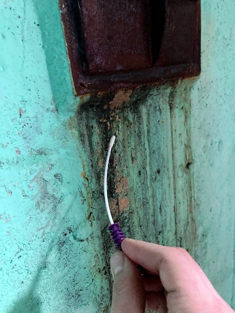 Comprehensive Mold Testing Services in Ontario and Quebec ...