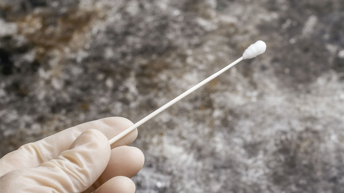 Effective Mold Sampling Strategies for Accurate Results - MoldInspection.ca