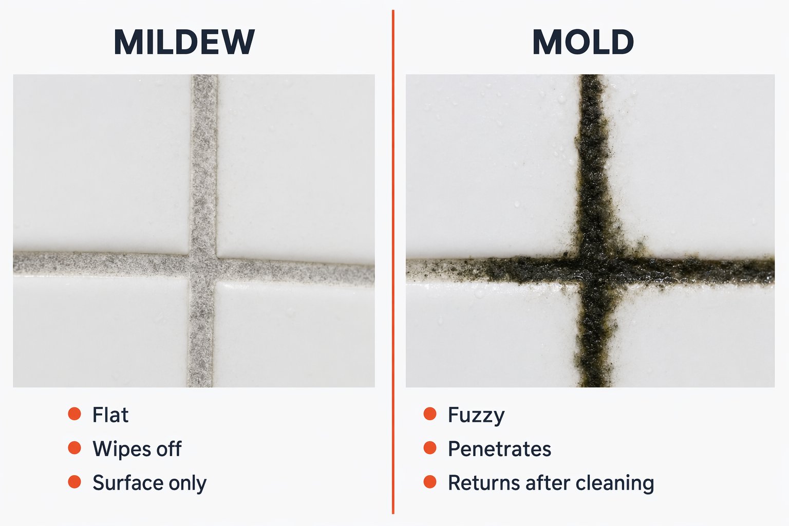 Bathroom Mold: Causes, Removal & Prevention Guide